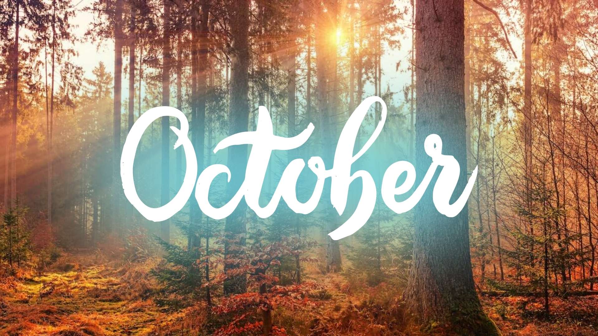 Where to go on Vacation in October?